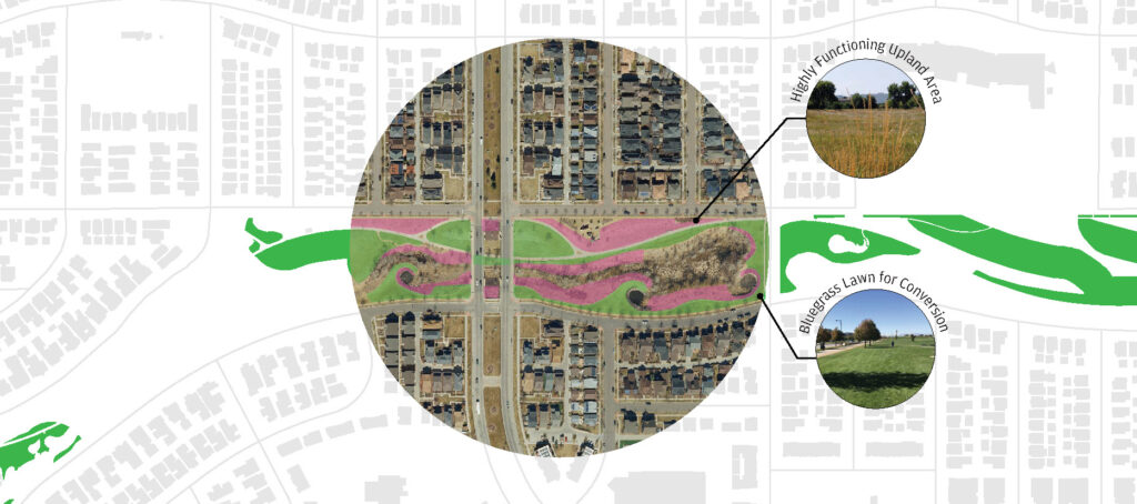 Project: DPR Landscape Typology