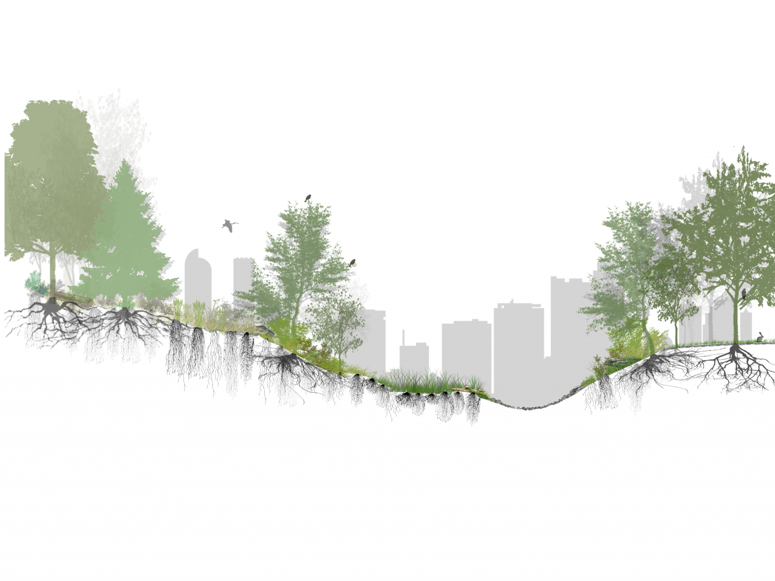Project: DPR Landscape Typology