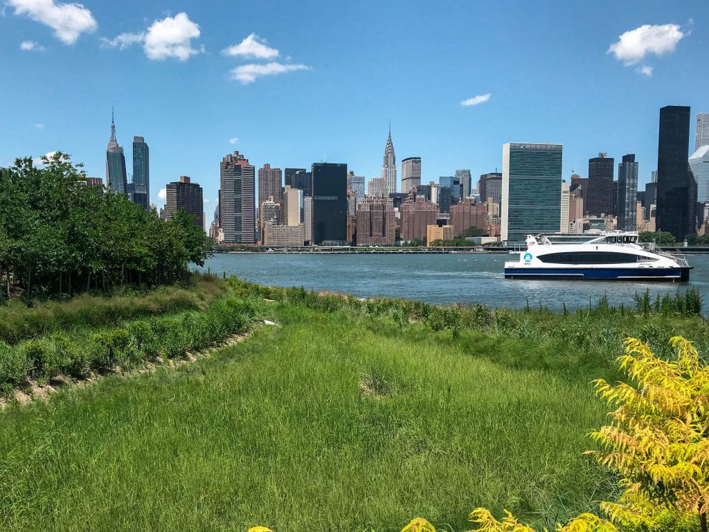 Project: Hunter's Point South Restoration