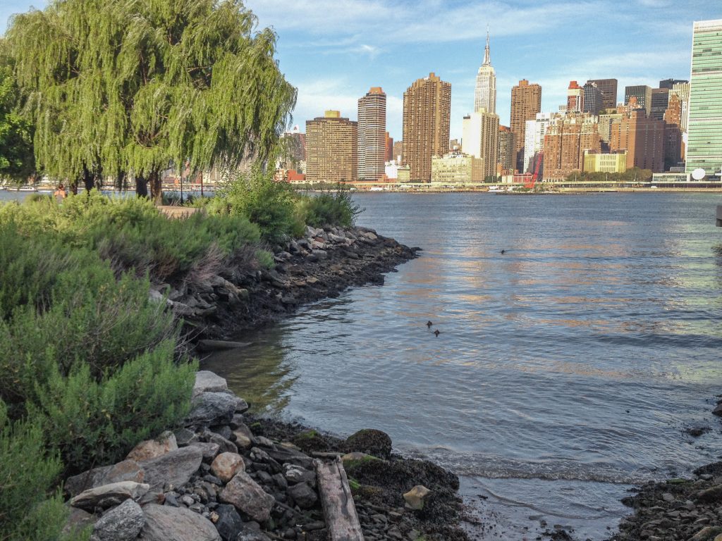 Project: Hunter's Point South Restoration