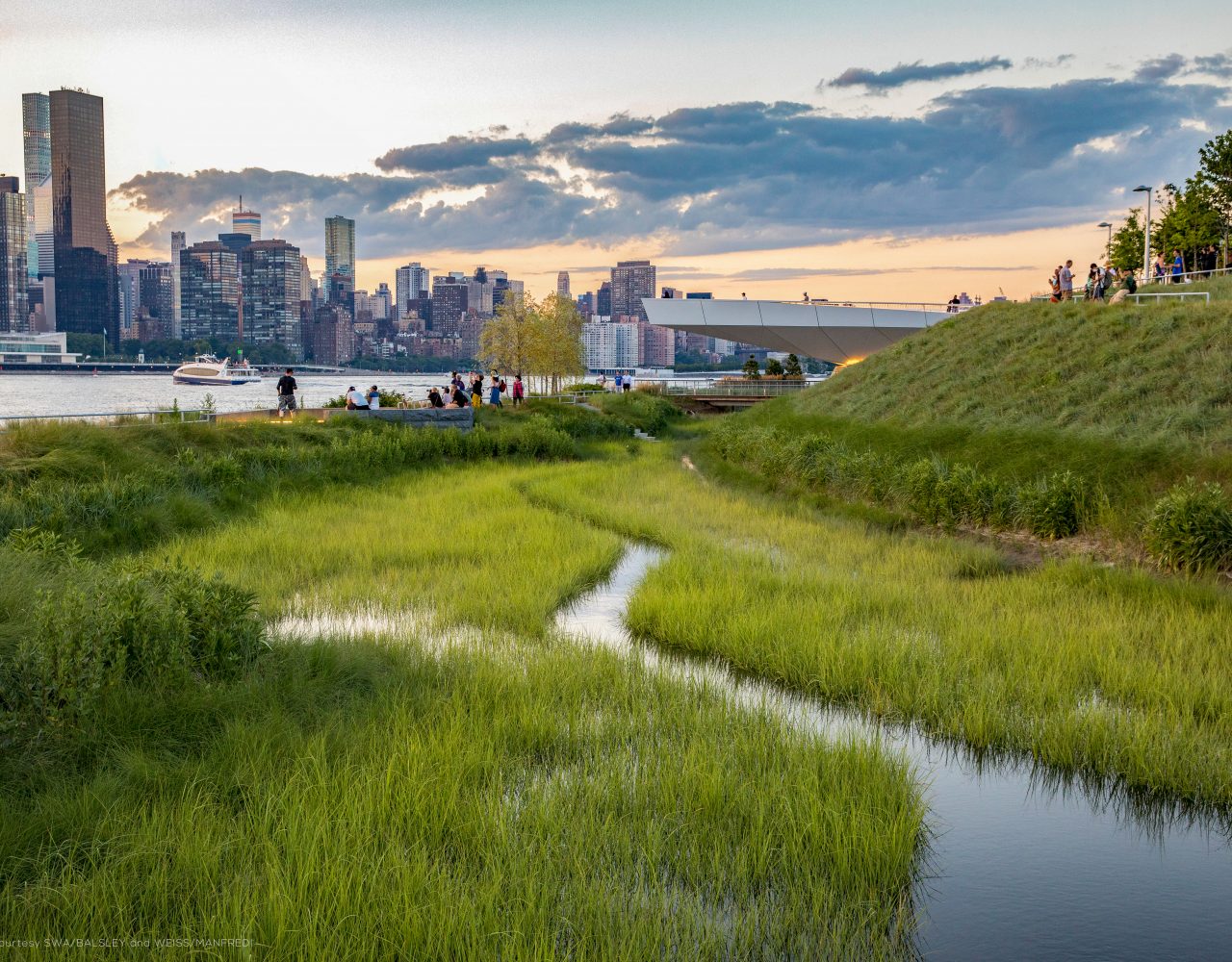 Great Ecology | Projects