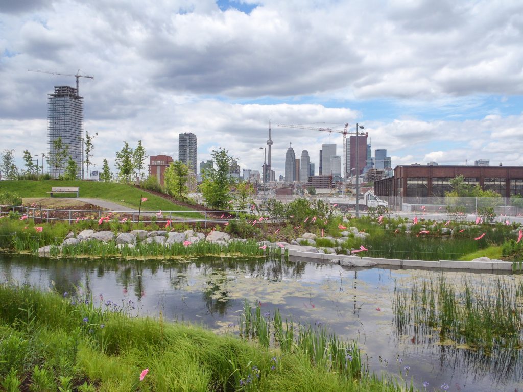Corktown Common Park Ecological Design – Great Ecology