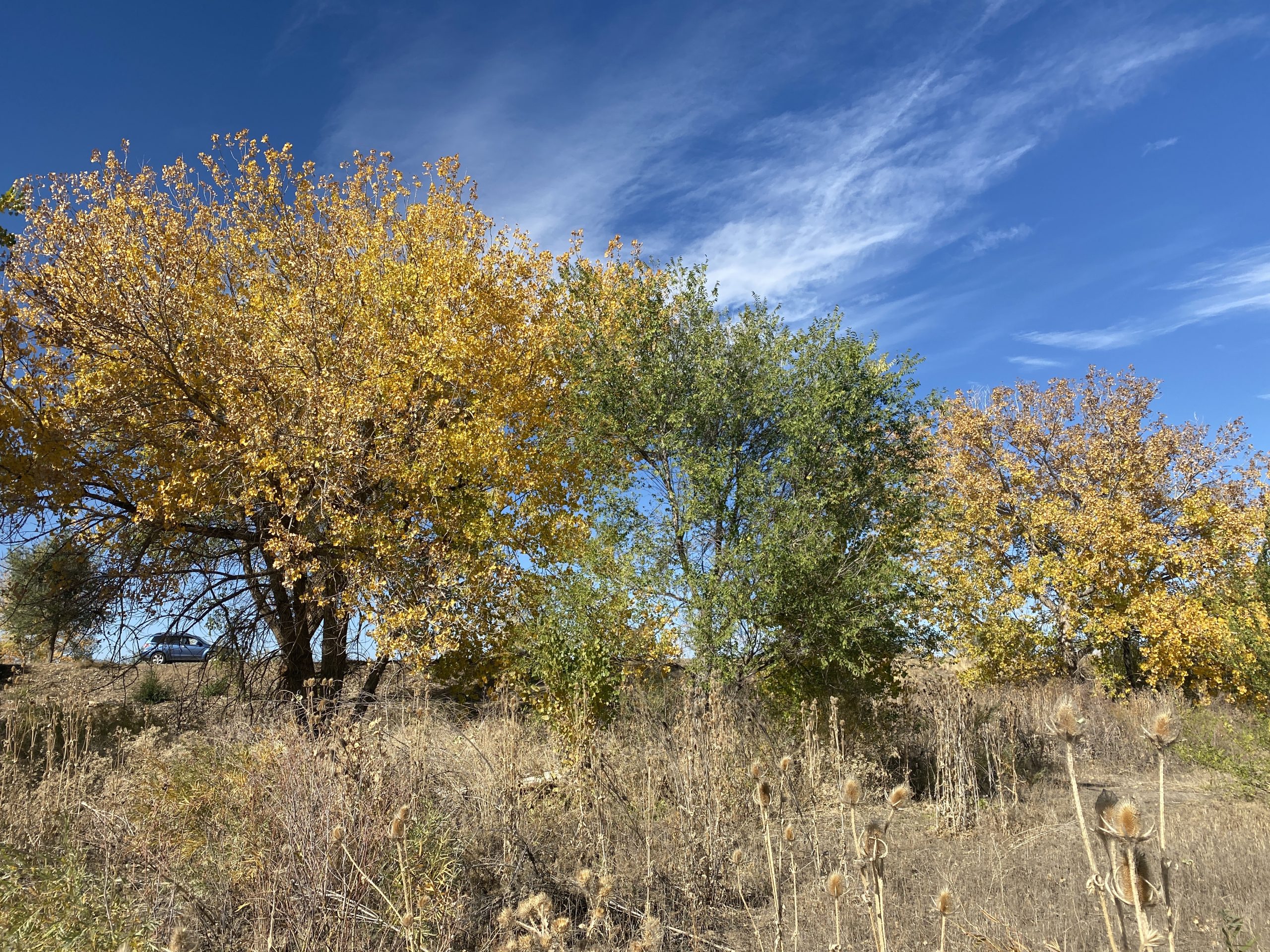 Adams County Parks, Open Space, and Trails Master Plan – Great Ecology