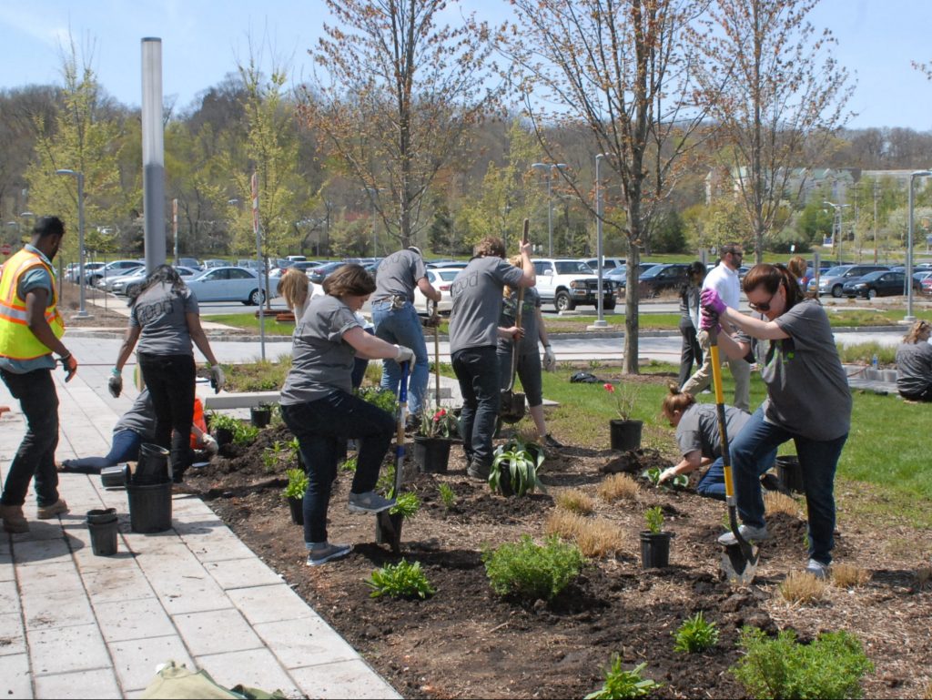 Florham Park BASF Pollinator & Landscape Enhancements – Great Ecology