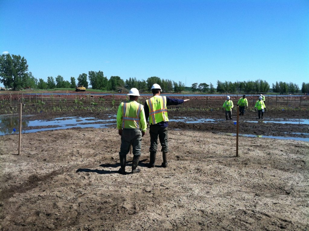 Great Ecology | Environmental Planning & Permitting