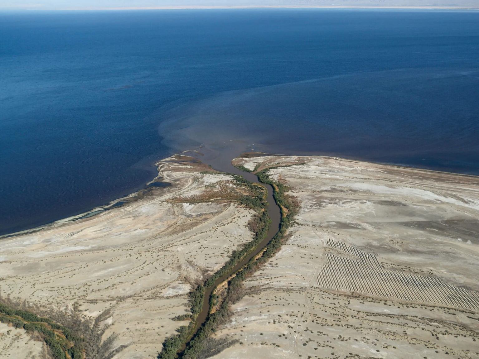 International Day of Action for Rivers: New River – Great Ecology