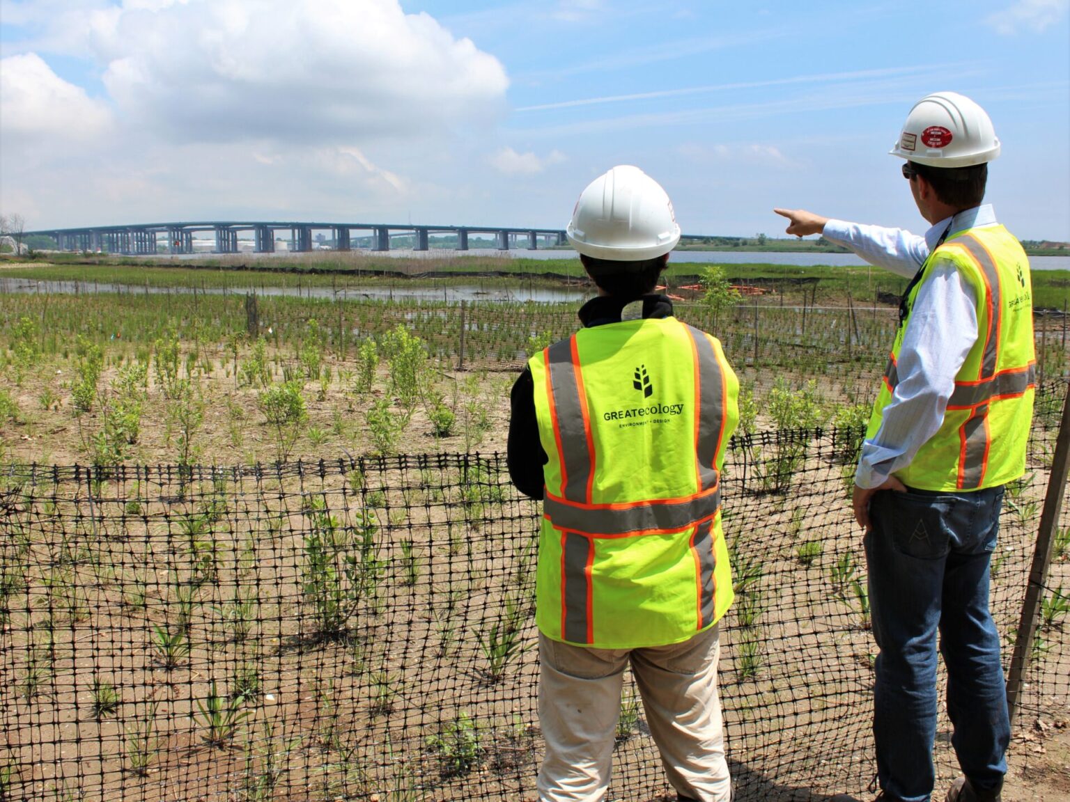 Great Ecology | Ecology + Design