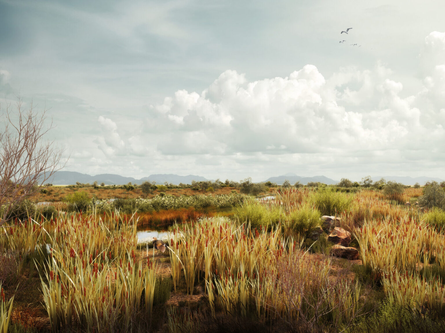 Great Ecology | Environmental Planning & Permitting