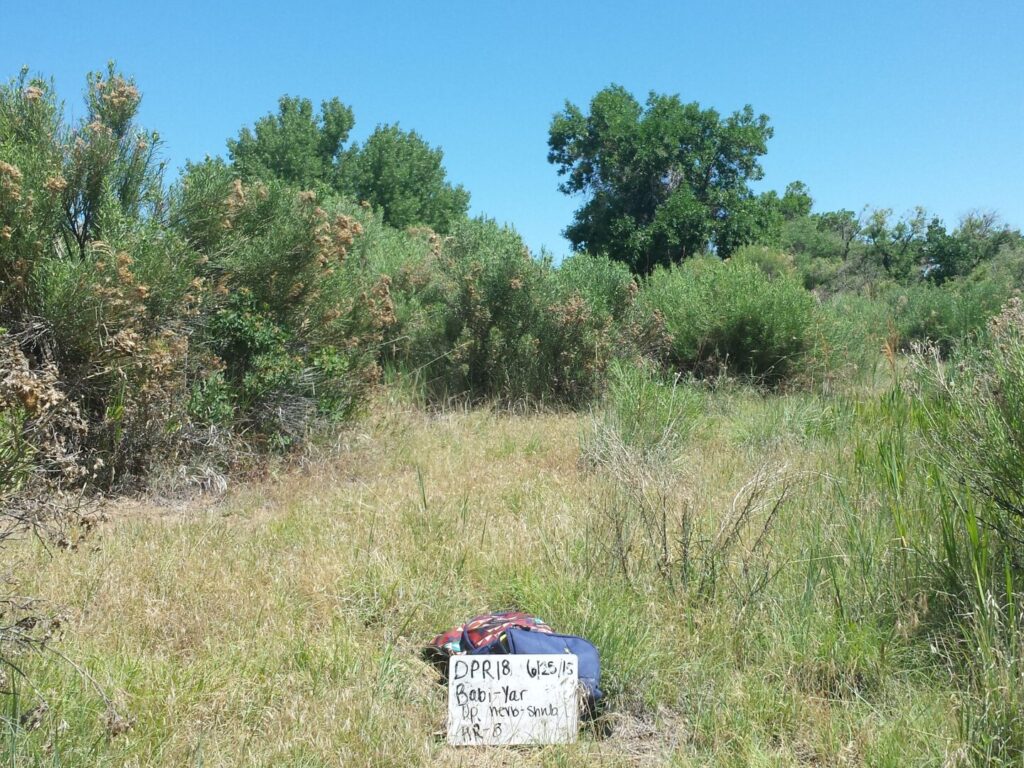 Project: DPR Landscape Typology