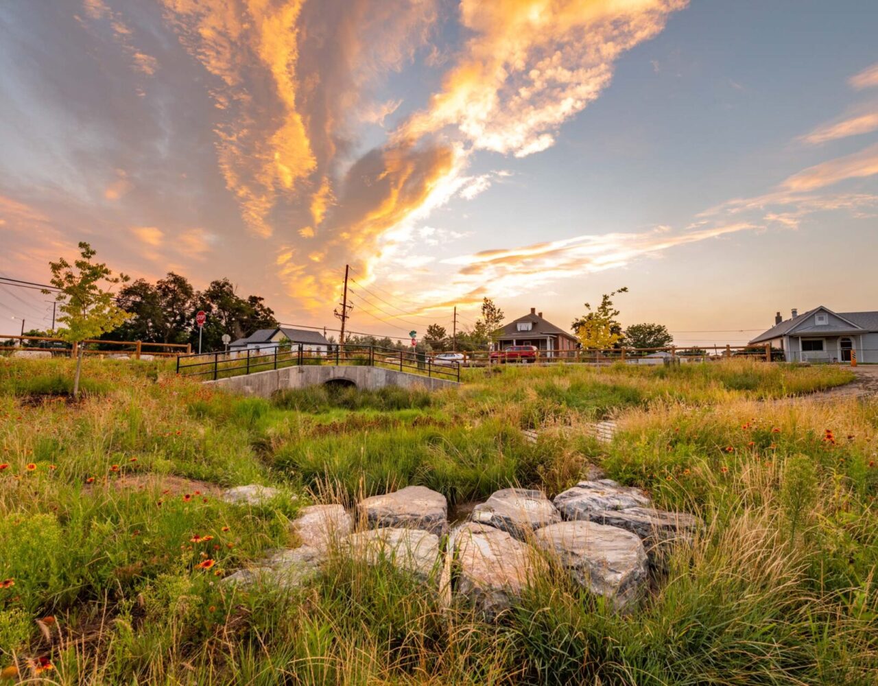 Great Ecology | Projects