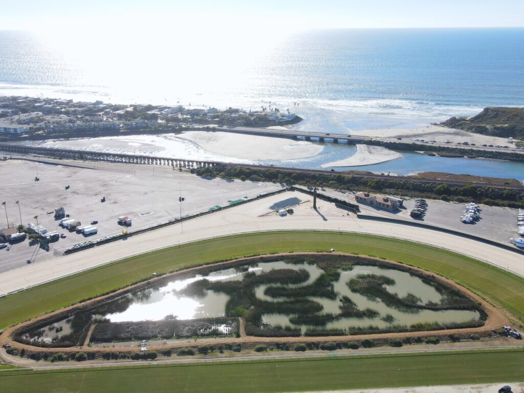 Project: Del Mar Constructed Wetlands