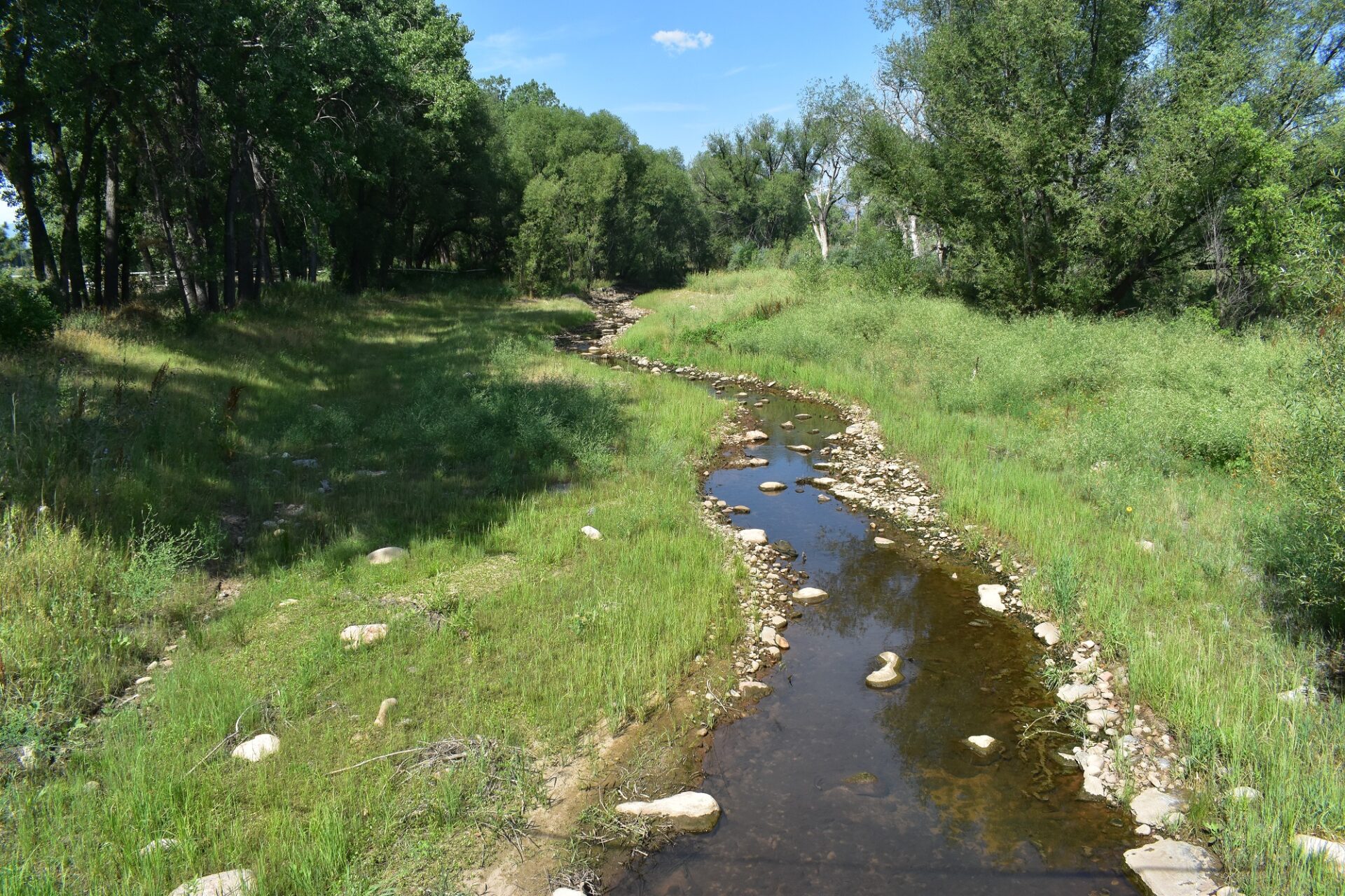 Emergency Watershed Protection Program Riparian Restoration – Great Ecology