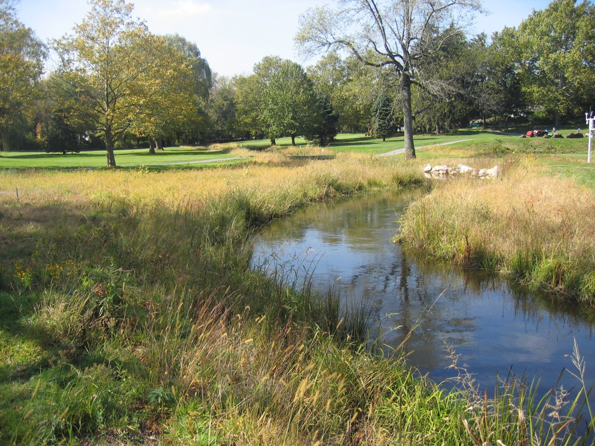 Sheldrake River Restoration – Great Ecology