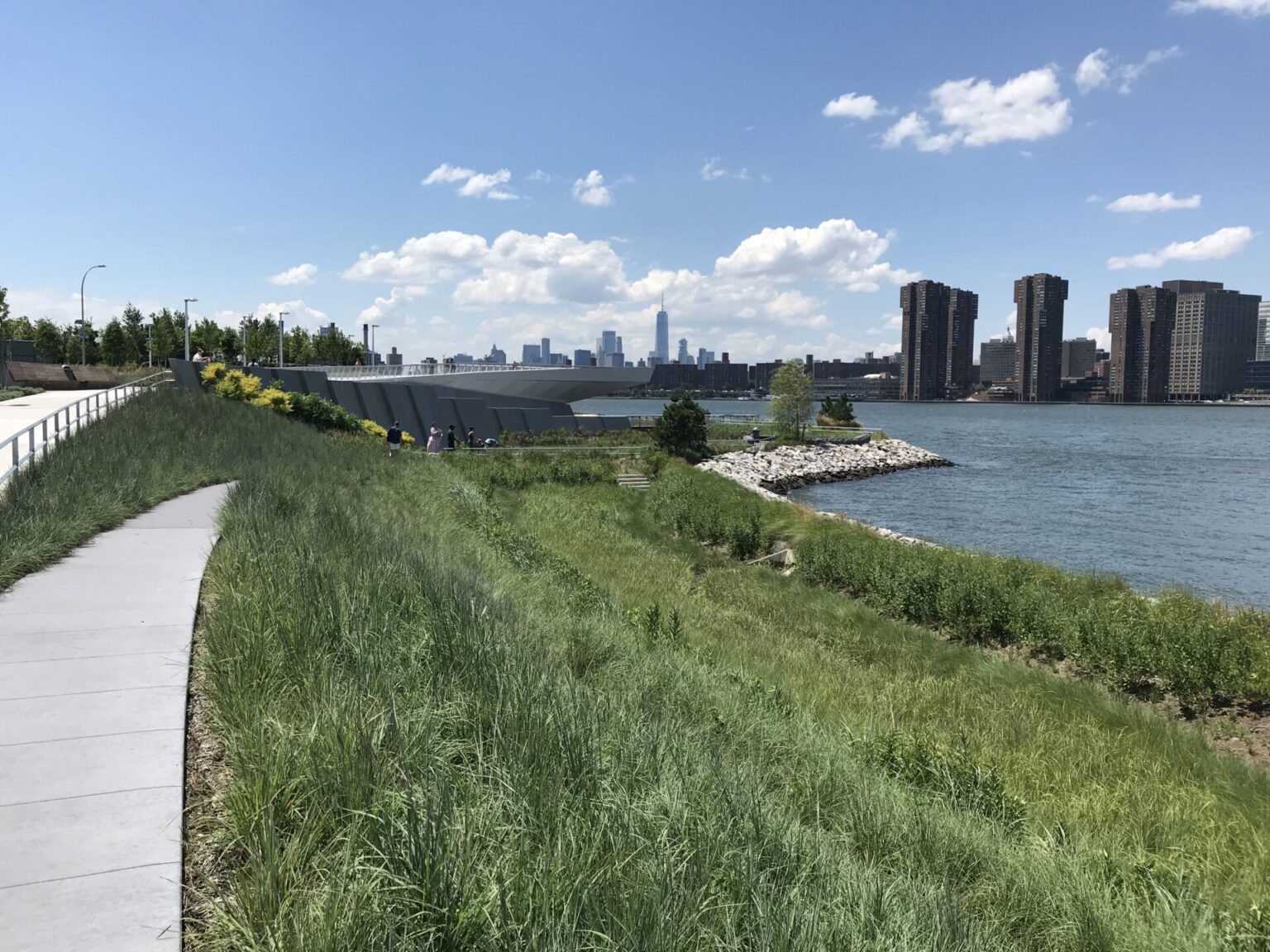 Living Shorelines – Great for Fish and Fishing – Great Ecology